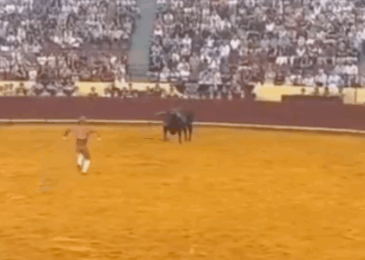 FOTO: Even kennismaken met June Mirit Sier, de knappe vriendin van Levi ...